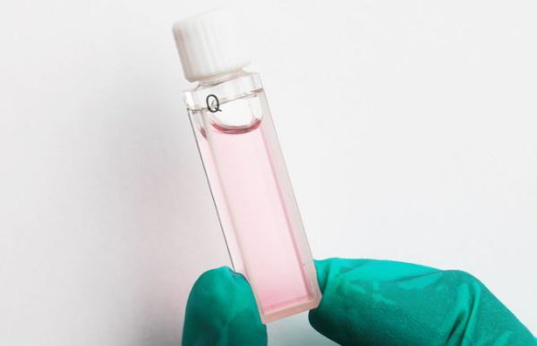 UV vis Cuvette: 4 Steps for a Better Decision | Qvarz